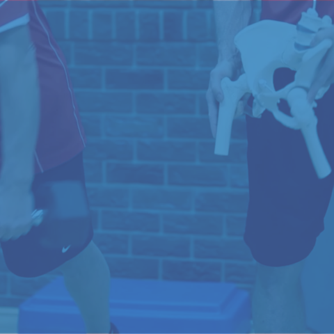 CAFS : Certification in Applied Functional Science - OPS