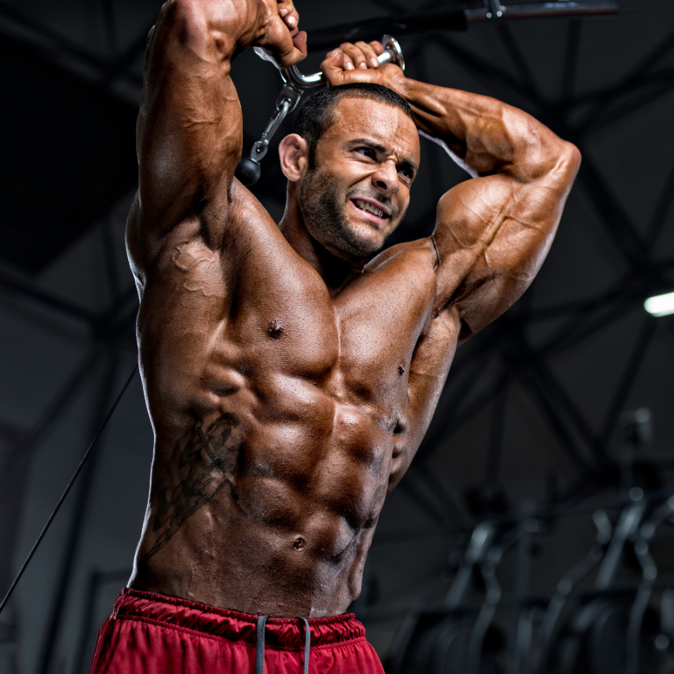 NASM Guide to Body Building - OPS