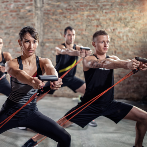 NASM Resistance Training - OPS