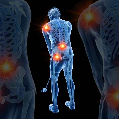 Functional Golf System: Preparing the Body for Peak Performance - OPS