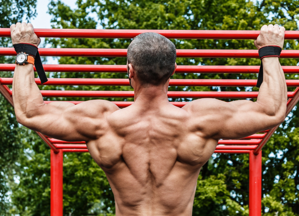 Chin Ups vs Pull-Ups Differences Benefits and Muscles Worked